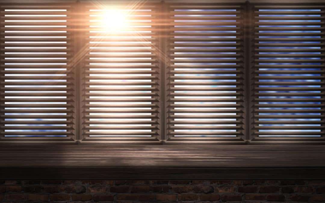 Types of Shutters - Mr Build Inc